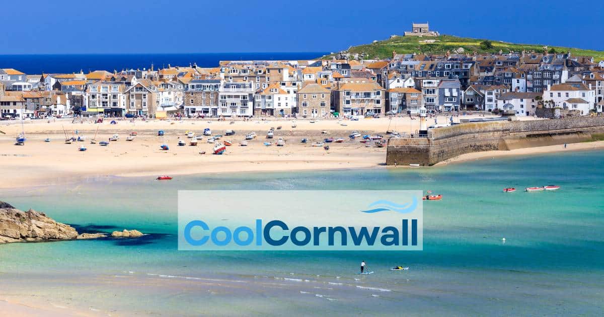 Animal Attractions - Cool Cornwall