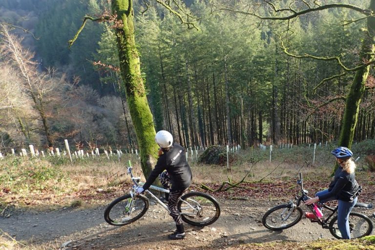 Mountain Biking and Bike Parks in Cornwall - Cool Cornwall